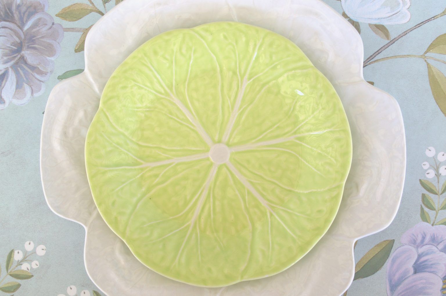 Easy and Comprehensive Guide to Collecting Cabbage Ware - HOUSE of GOSSAMER