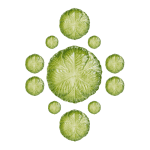 20+ Beautiful Plate Wall Configurations for the Interior Decorator ...